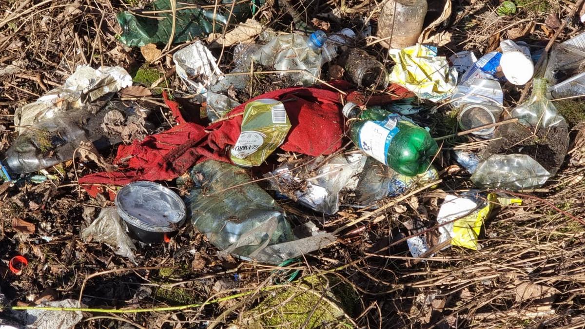 FOTO. Voluntarii au făcut curat după urșii gunoieri, la baza Muntelui ...