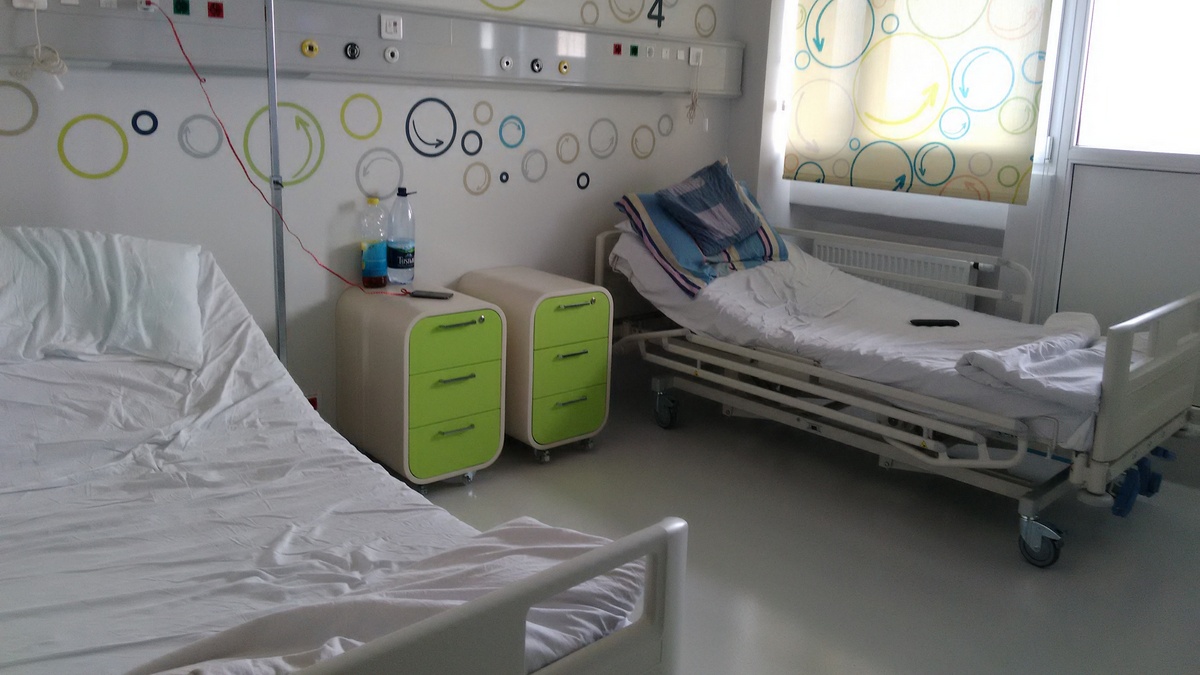 Șapte elevi care au participat la Olimpiada de Istorie de la Brașov au ...